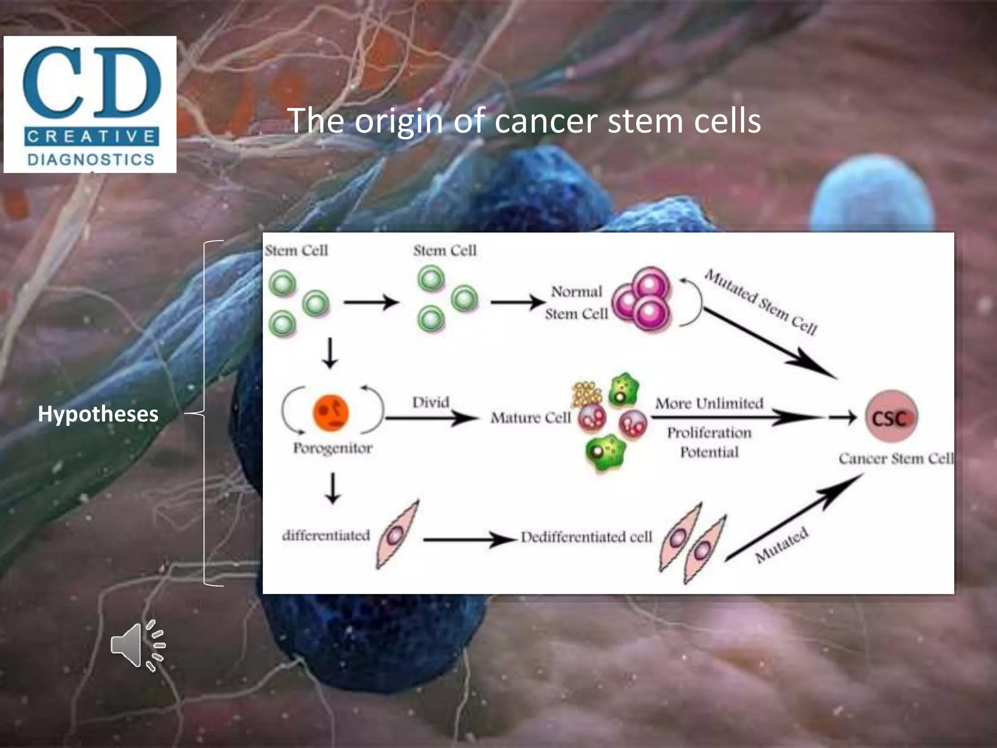 Cancer stem-cells-creative-diagnostics | PPT