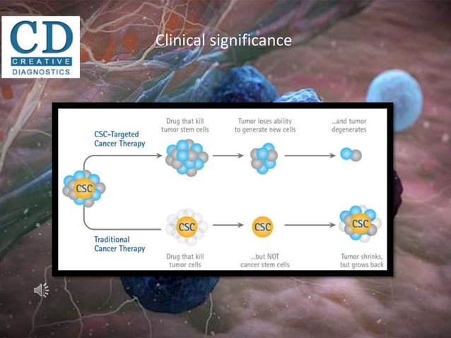Cancer Stem Cells Creative Diagnostics Ppt