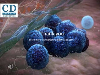 Cancer stem-cells-creative-diagnostics | PPT