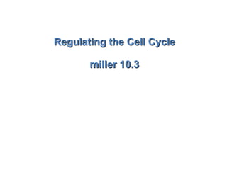Regulating the Cell Cycle | PPT | Cancer | Diseases and Conditions