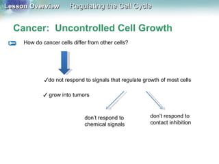 Regulating the Cell Cycle | PPT | Cancer | Diseases and Conditions