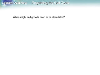 Regulating the Cell Cycle | PPT