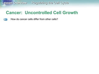 Regulating the Cell Cycle | PPT | Cancer | Diseases and Conditions