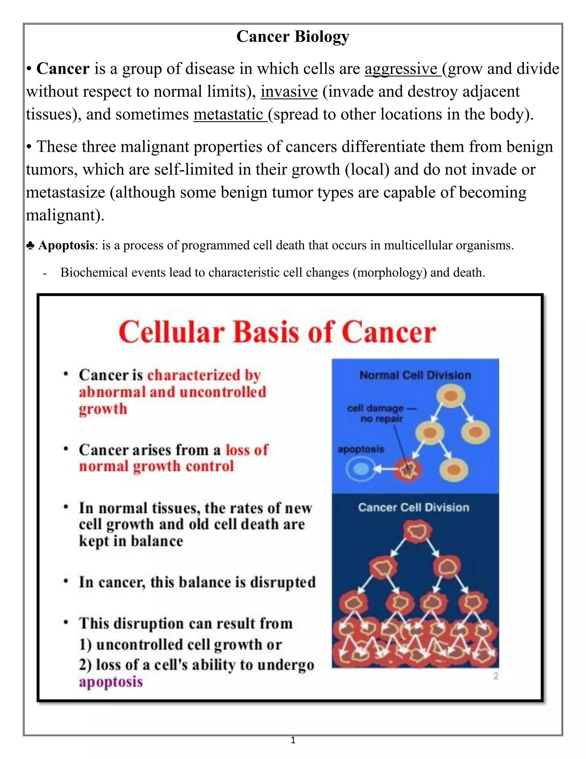 Cancer Biology | PDF