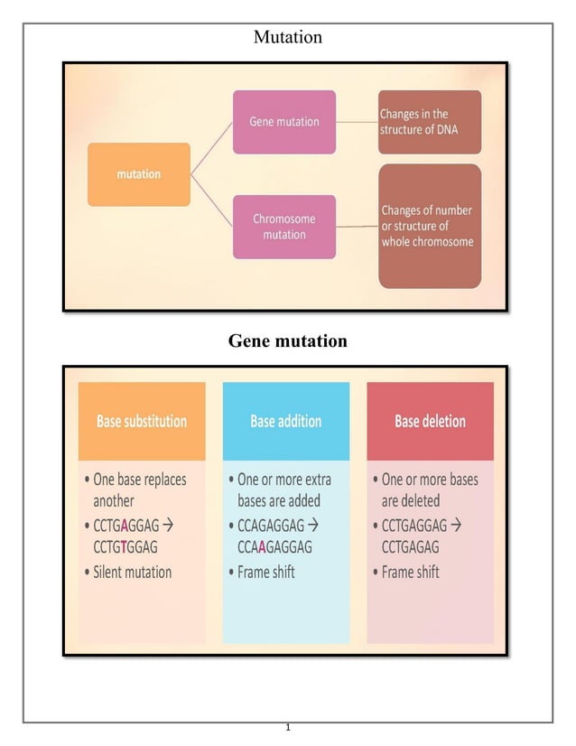 Gene mutation & Chromosomal Mutations | PDF
