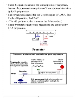 Gene mutation & Chromosomal Mutations | PDF