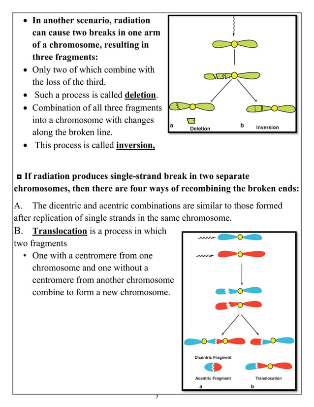 Gene mutation & Chromosomal Mutations | PDF