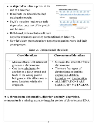 Examples Of Inversion Mutation