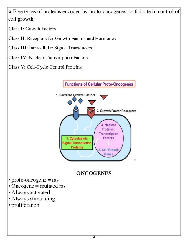 ONCOGENES