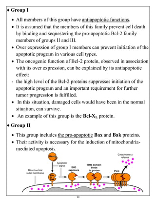 PROGRAMMED CELL DEATH (APOPTOSIS ) | PDF