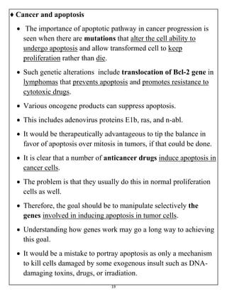 PROGRAMMED CELL DEATH (APOPTOSIS ) | PDF