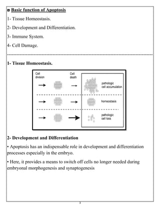 PROGRAMMED CELL DEATH (APOPTOSIS ) | PDF