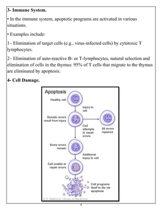 PROGRAMMED CELL DEATH (APOPTOSIS ) | PDF