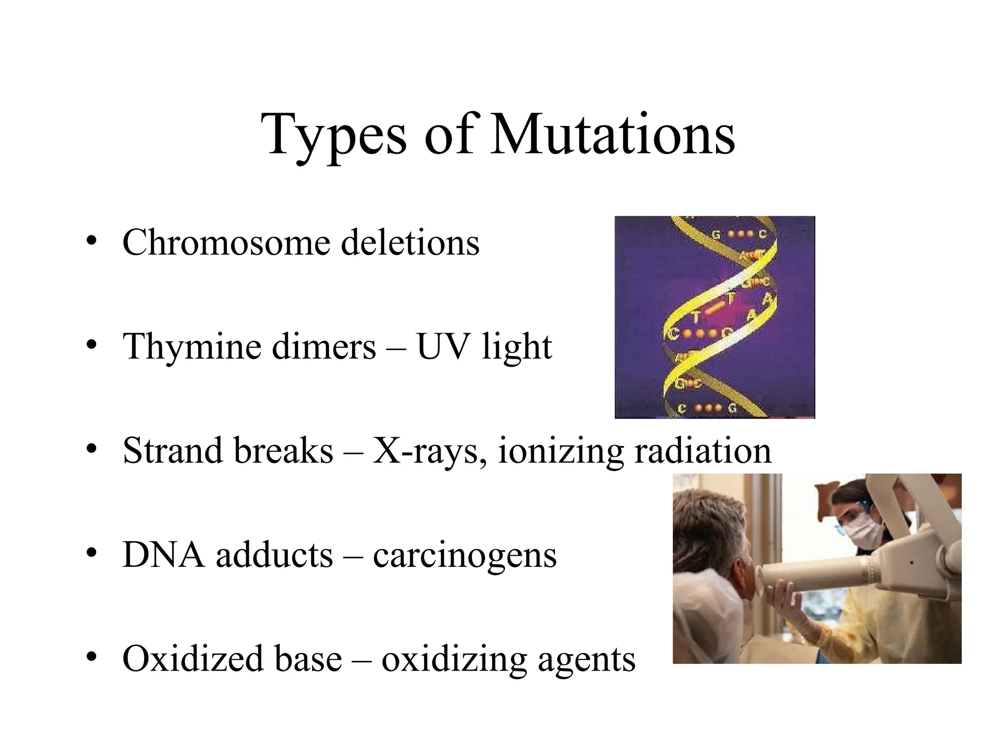 Cancer and Carcinogens: Its development and mechanisms.ppt | Cancer ...