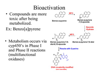 Cancer and Carcinogens: Its development and mechanisms.ppt