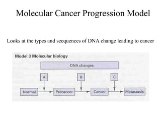 Cancer and Carcinogens: Its development and mechanisms.ppt