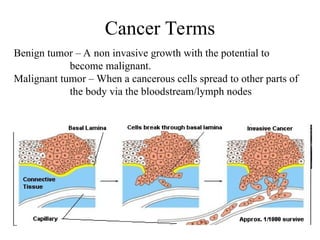 Cancer and Carcinogens: Its development and mechanisms.ppt