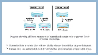 Cancer and cell cycle, how they play a part in it | PPTX