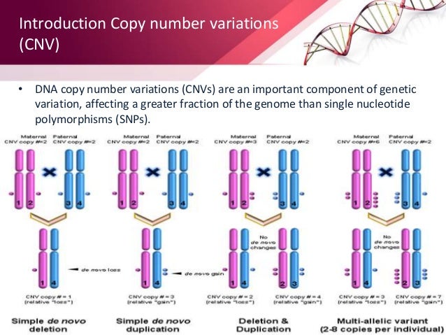 Cancer And Cnv