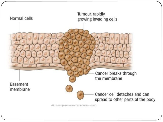 Cancer and drug target.pptx