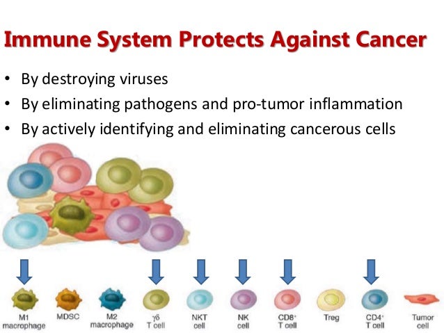 Cancer and the Immune System