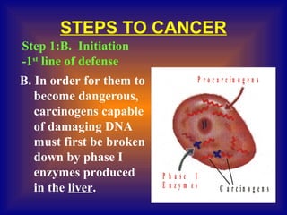 Cancer and the immune system | PPT