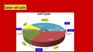 CANCER AND TYPES AND STAGES.pptx