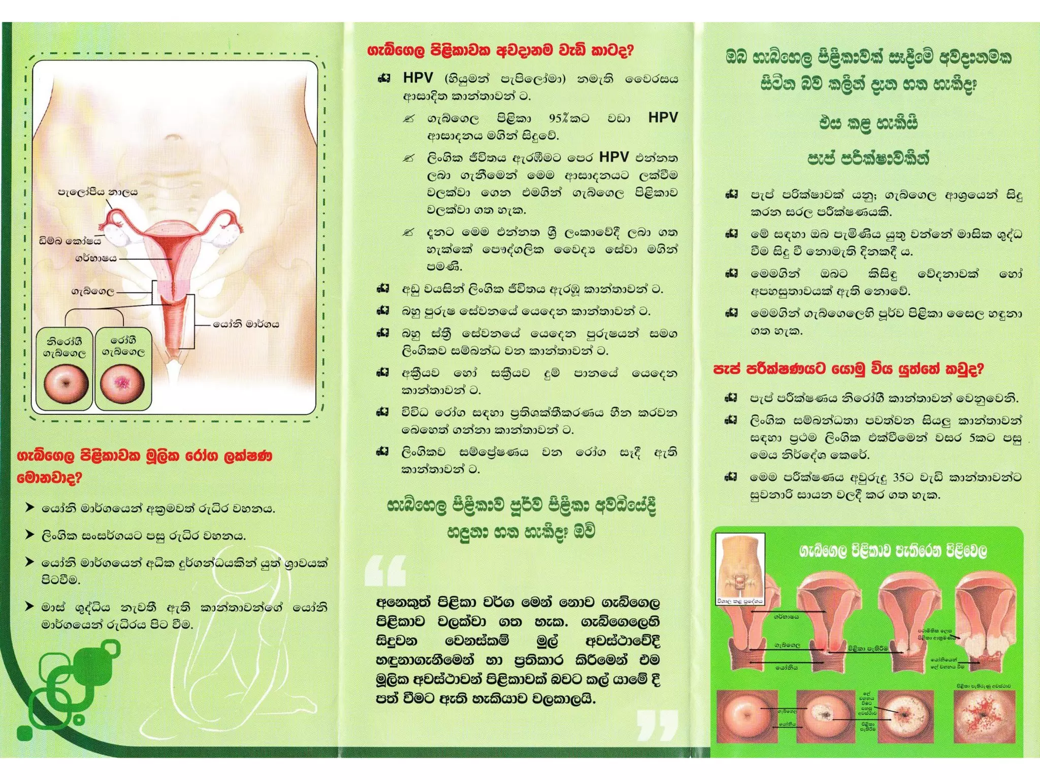 Cancer awareness leaflets | PPT