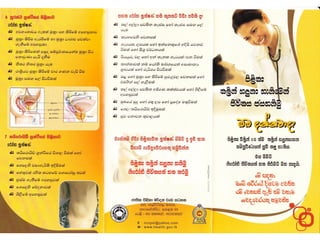 Cancer awareness leaflets | PPT