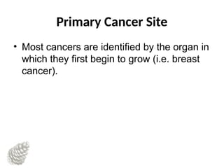 cancer basics and its introduction,types. | PPTX