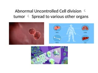 cancer basics and its introduction,types. | PPTX