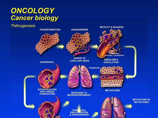 Biologia del Cancer | PPT | Cancer | Diseases and Conditions