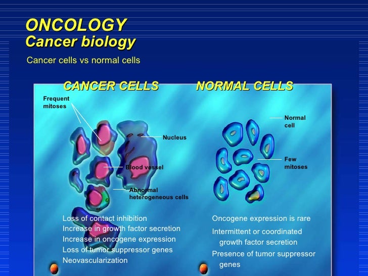 Normal Cells Vs Cancer Cells
