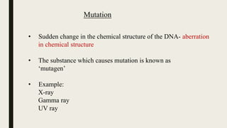 Cancer biology | PPTX
