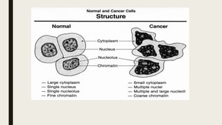 Cancer biology | PPTX