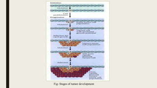 Cancer biology | PPTX