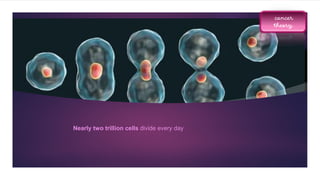 Cancer Biology (1).pdf