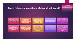 Cancer Biology (1).pdf
