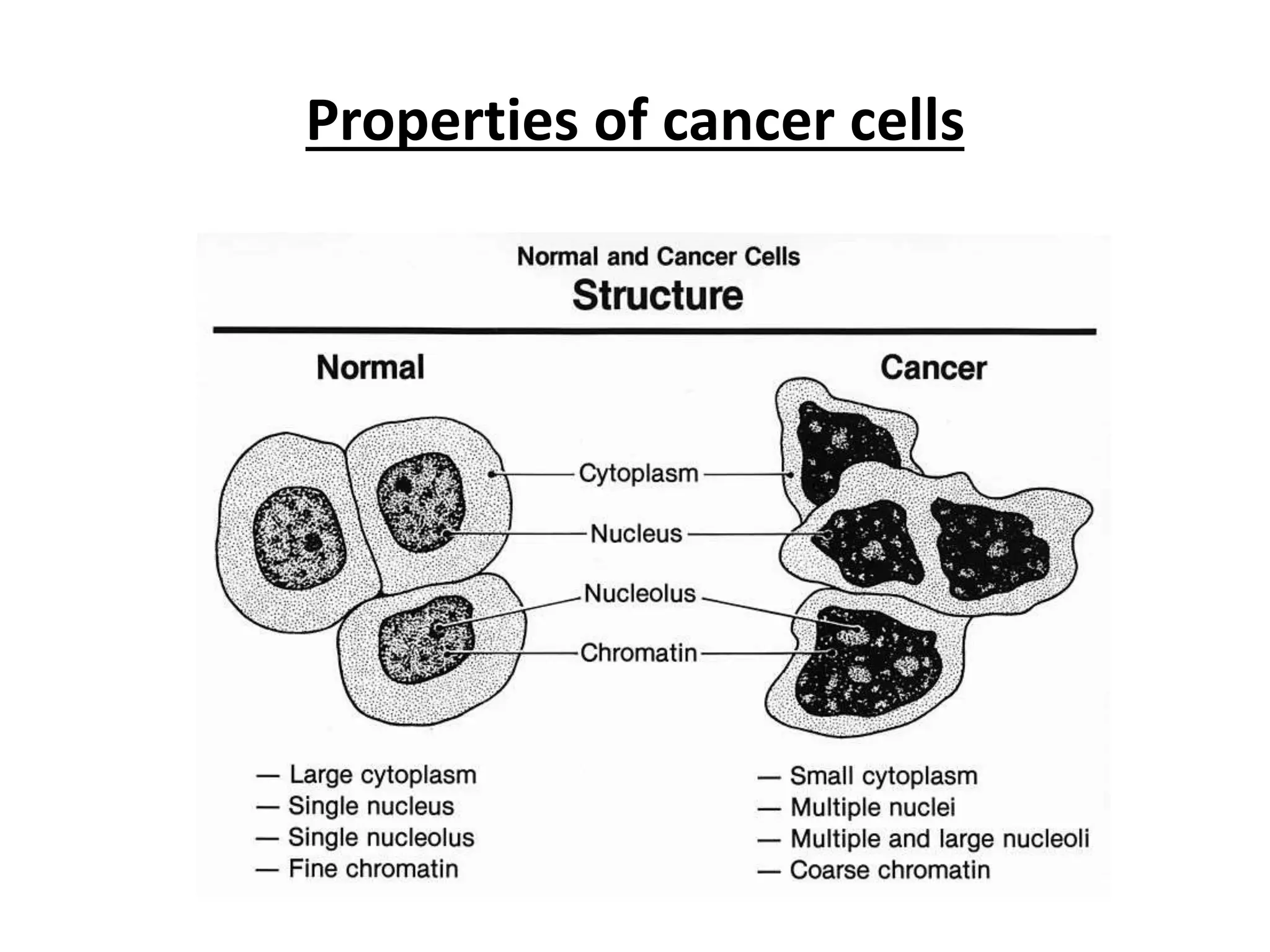 cancer biology introduction and features of cancer.pptx