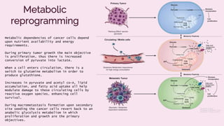 cancer biology 8 (1).pptx