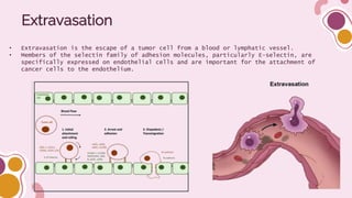 cancer biology 8 (1).pptx