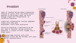 cancer biology 8 (1).pptx
