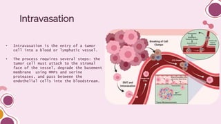 cancer biology 8 (1).pptx