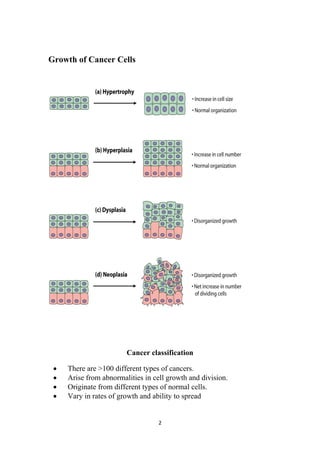Cancer biology b7 4 lecures | PDF