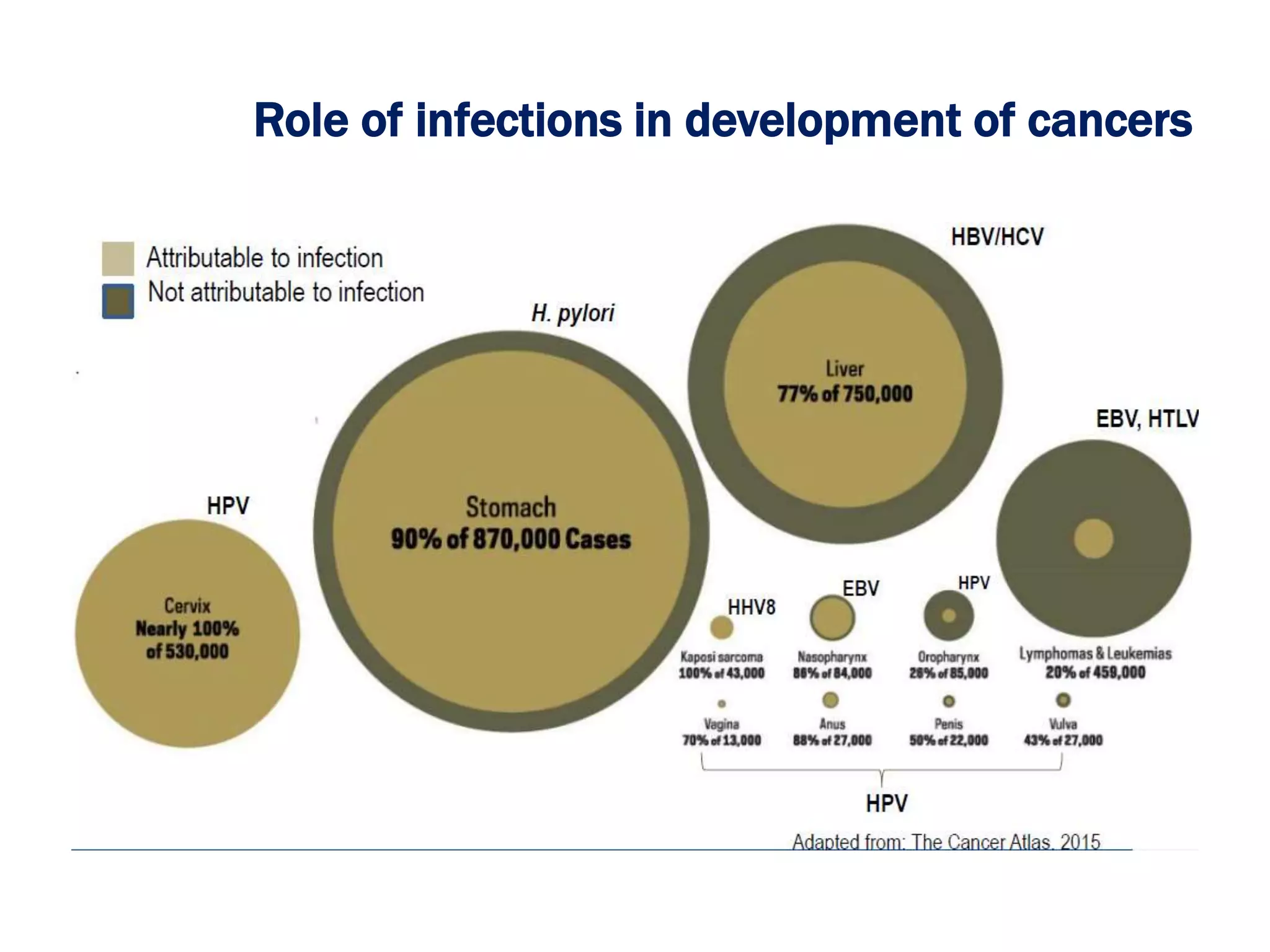 Understanding the Cancer burden and risk factors. | PPTX