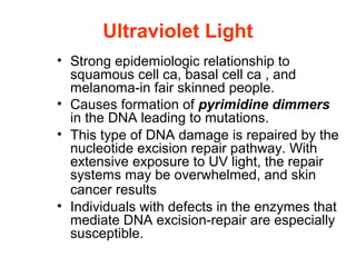 Cancer carcinogens | PPT