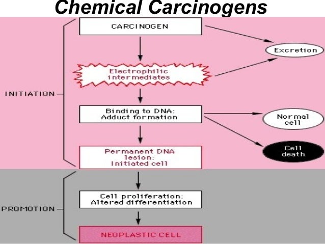 Cancer carcinogens