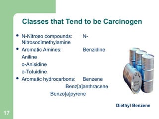 Cancer Causing Chemicals HSE Presentation HSE Formats.PPT