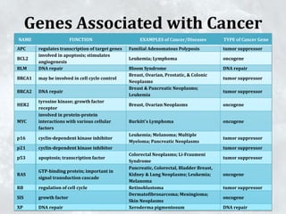 Cancer cell biology | PDF