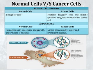 Cancer cell biology | PDF